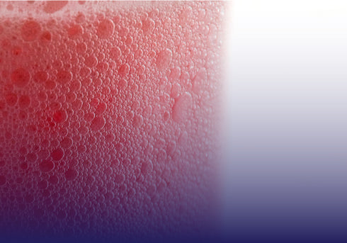 Cider Making Equipment | Juice Production Equipment | Vigo – Vigo Ltd